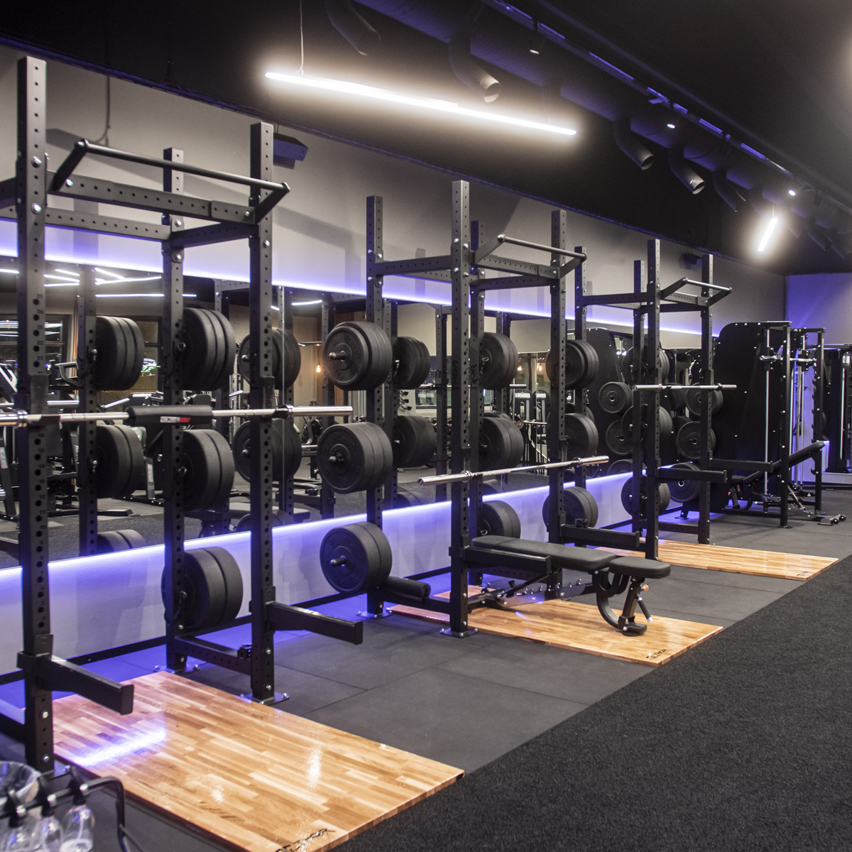 Thor Fitness – Training Equipment Of Divine Quality
